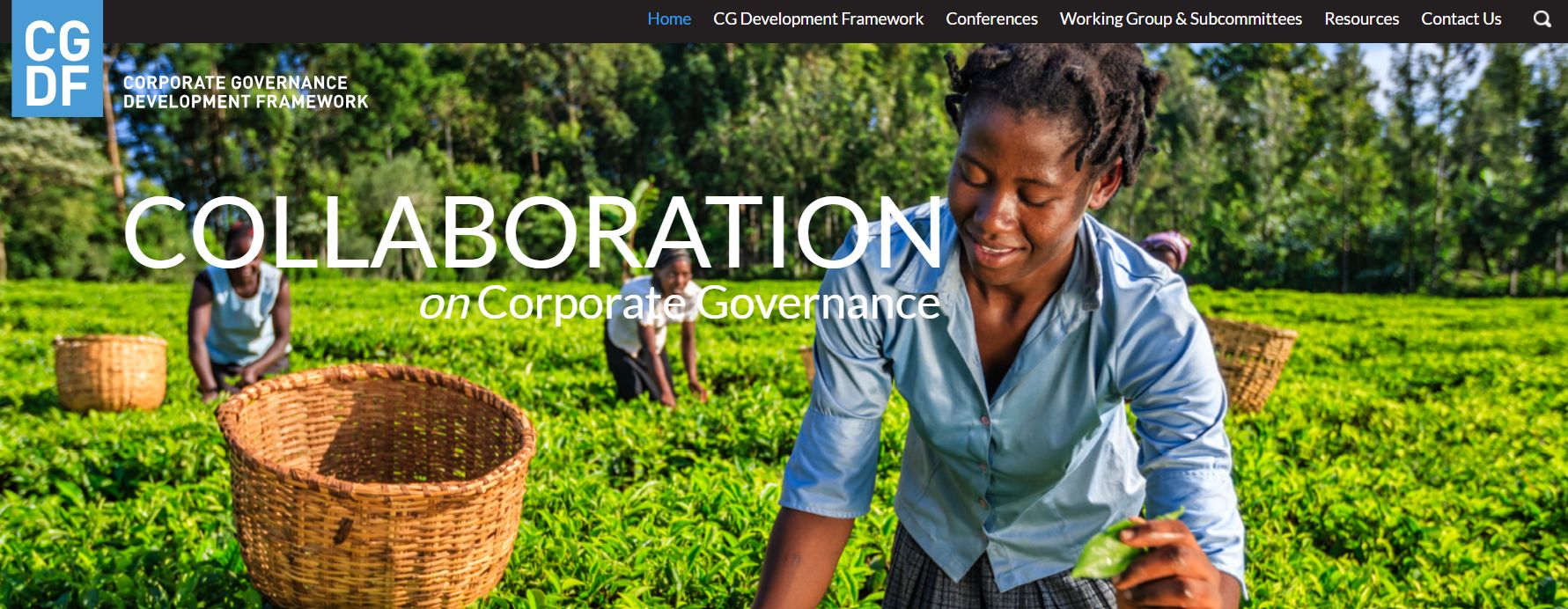 Corporate Governance Development Framework
