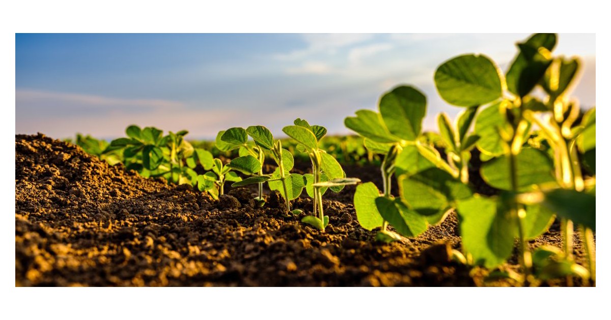 Healthier land and soils for a better food future