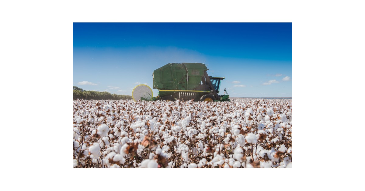 Steady gains in agricultural raw material prices