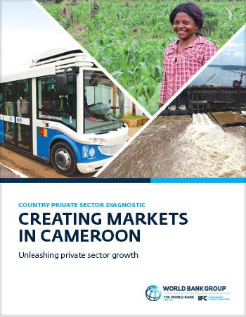 Creating Markets in Cameroon: Country Private Sector Diagnostic