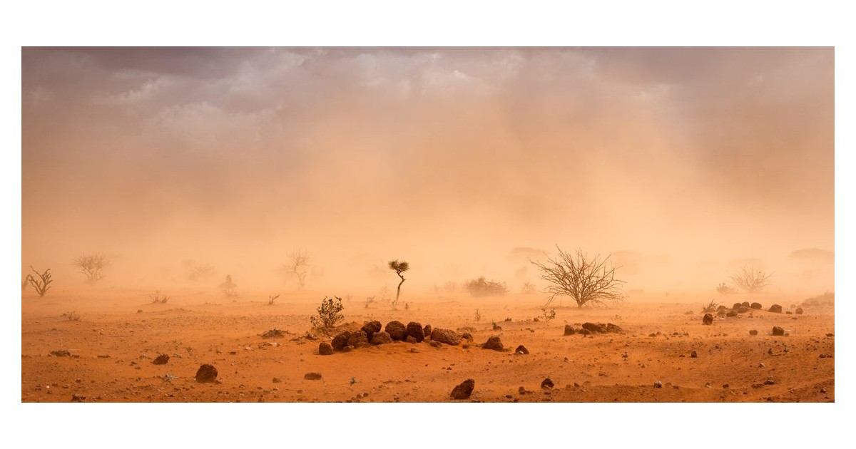 Impactful climate mitigation requires standards, verification and ...