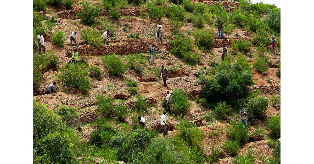 Putting biodiversity at the heart of IDA's work