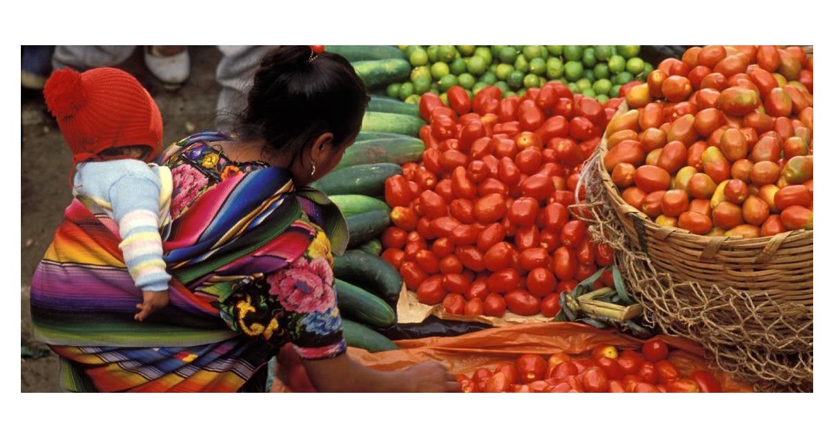 Building a better food system