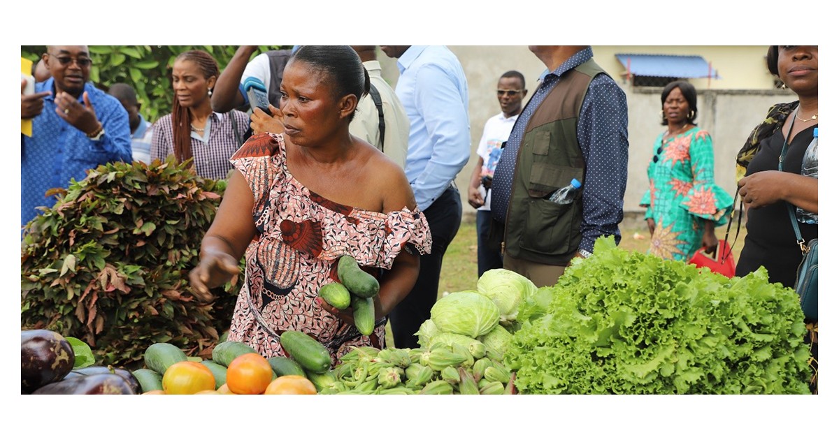 Grant Support for Smallholder Farmers: Boosting Agricultural ...