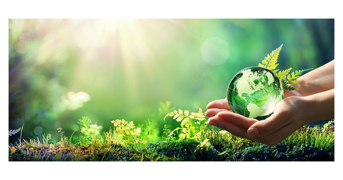 When green meets green: Environmental risk-pricing by banks