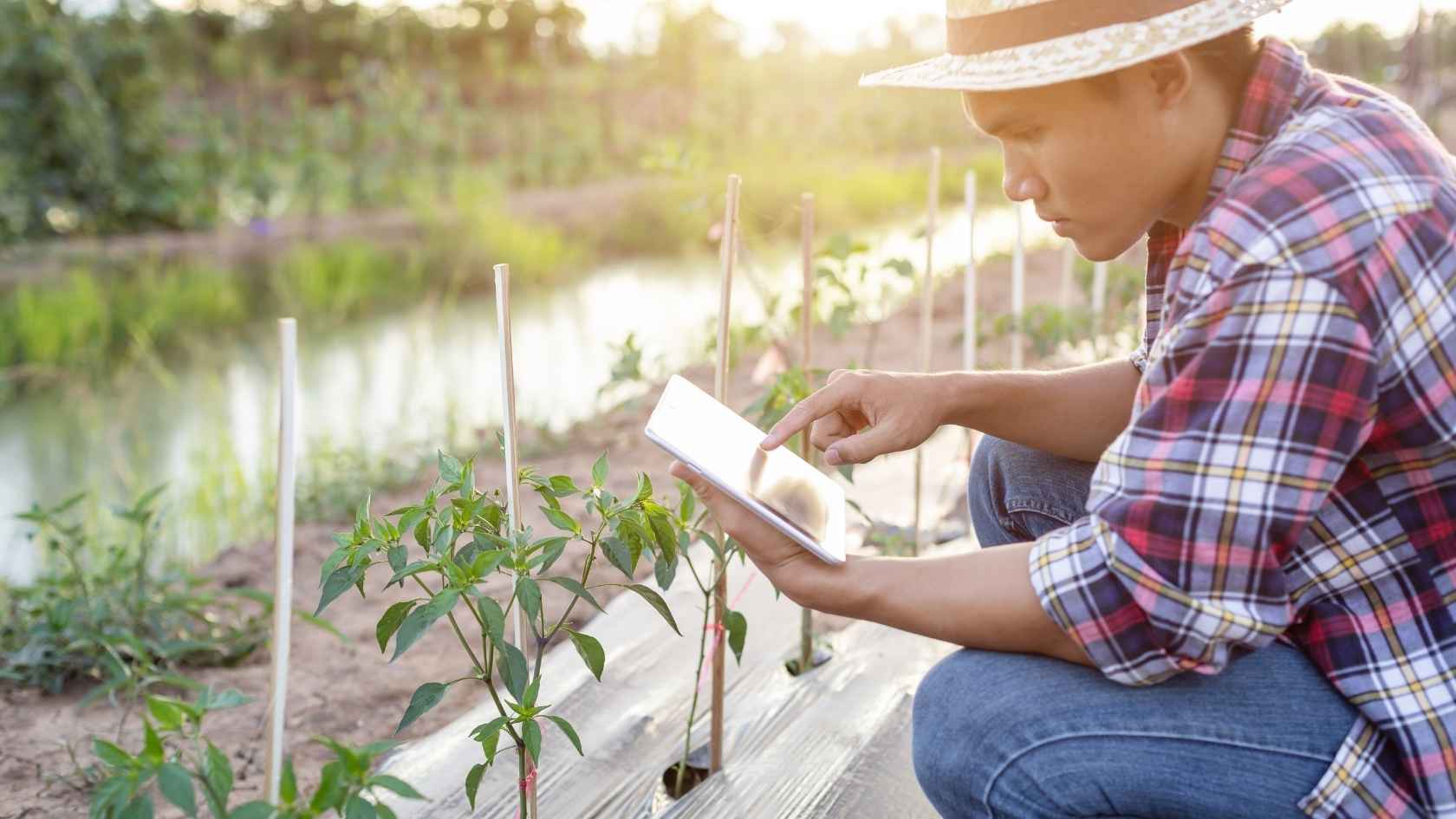 Home | World Bank Live