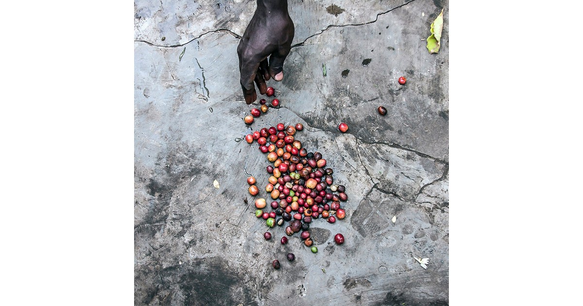 Are Two Heads Better Than One?