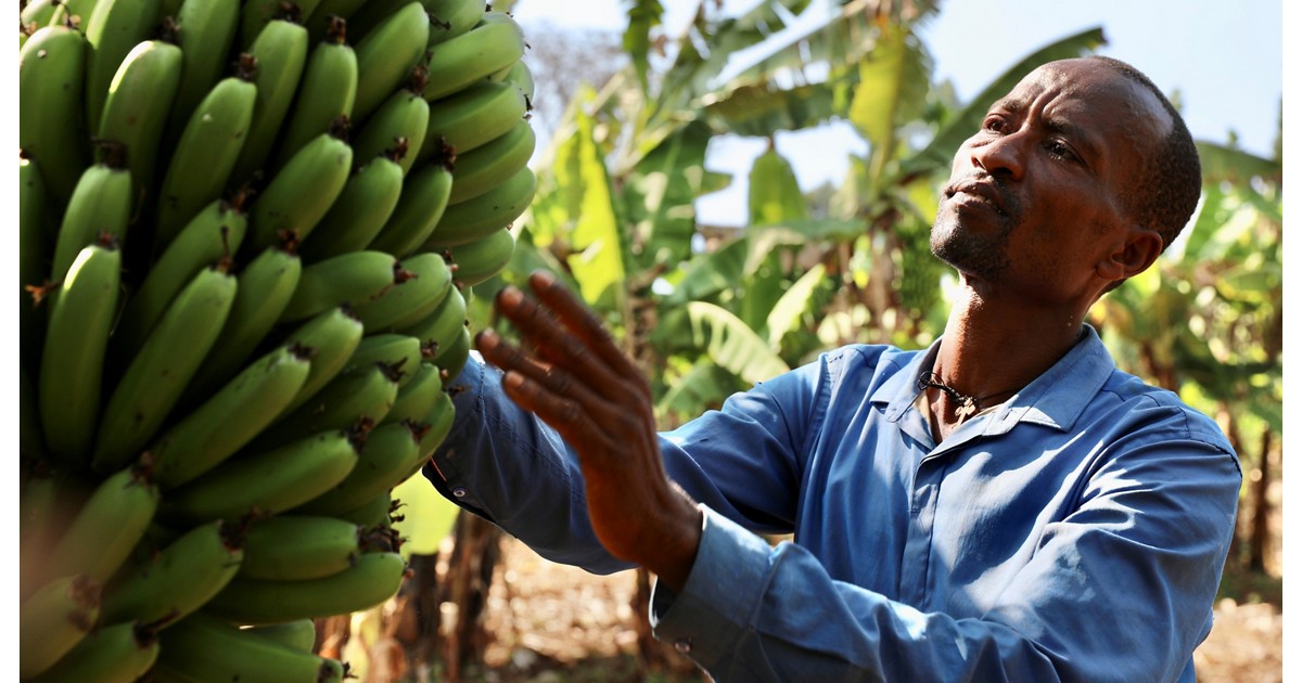 Investing in nature makes good economic sense