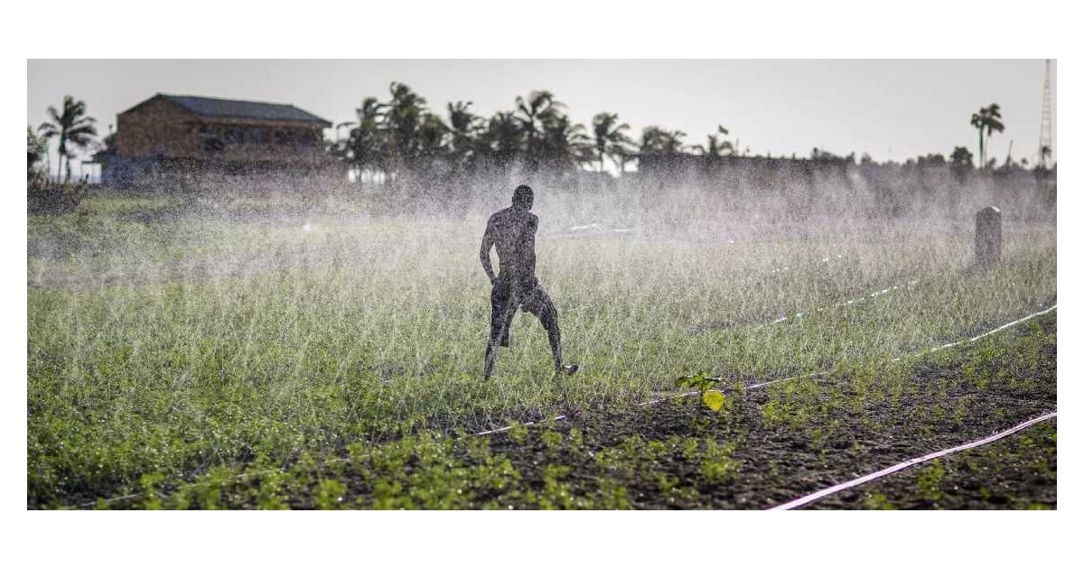 Why water security is our most urgent challenge today