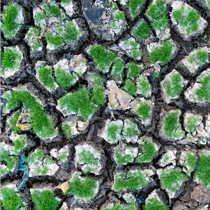 Event Land Rights And Access For Climate Action World Bank Live