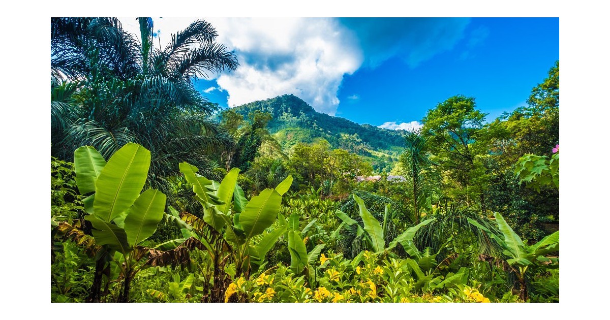 Harnessing the power of capital markets to conserve and restore global ...