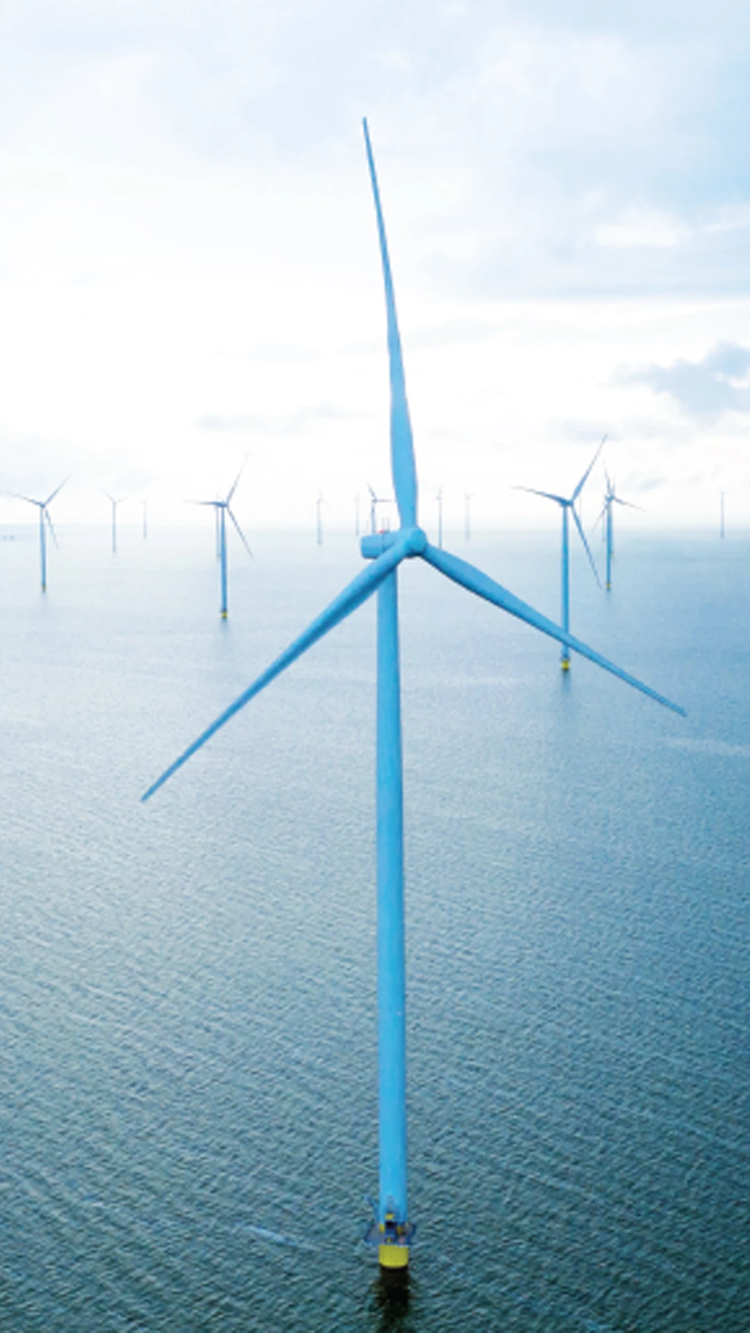 Promoting Interoperability Across Environmental and Social Risk ...