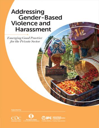 Addressing Gender-Based Violence and Harassment: Emerging Good Practice ...