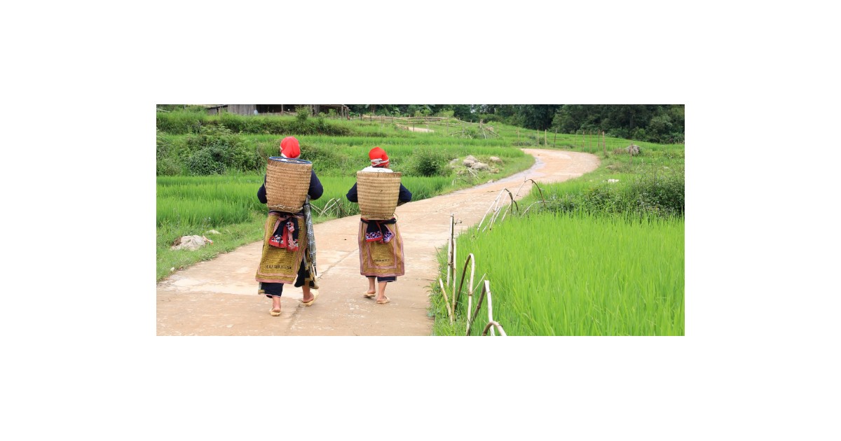 Who benefits from better rural roads in Vietnam and why?