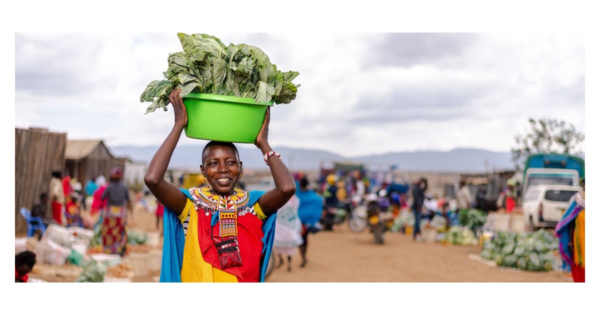 Access to open data is vital to understanding economic inclusion: Call ...