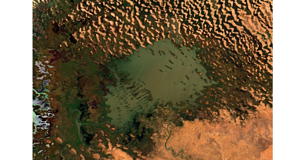Shallow dive: The data behind the impacts of Lake Chad’s shrinkage