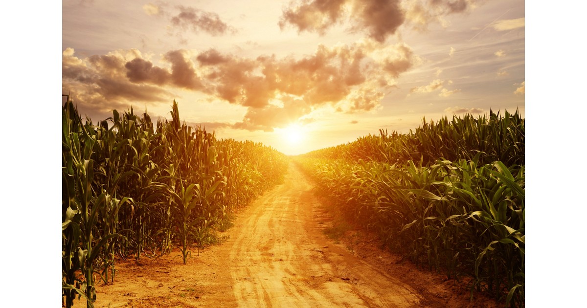 How to manage the extractives sector? There’s a book for that!