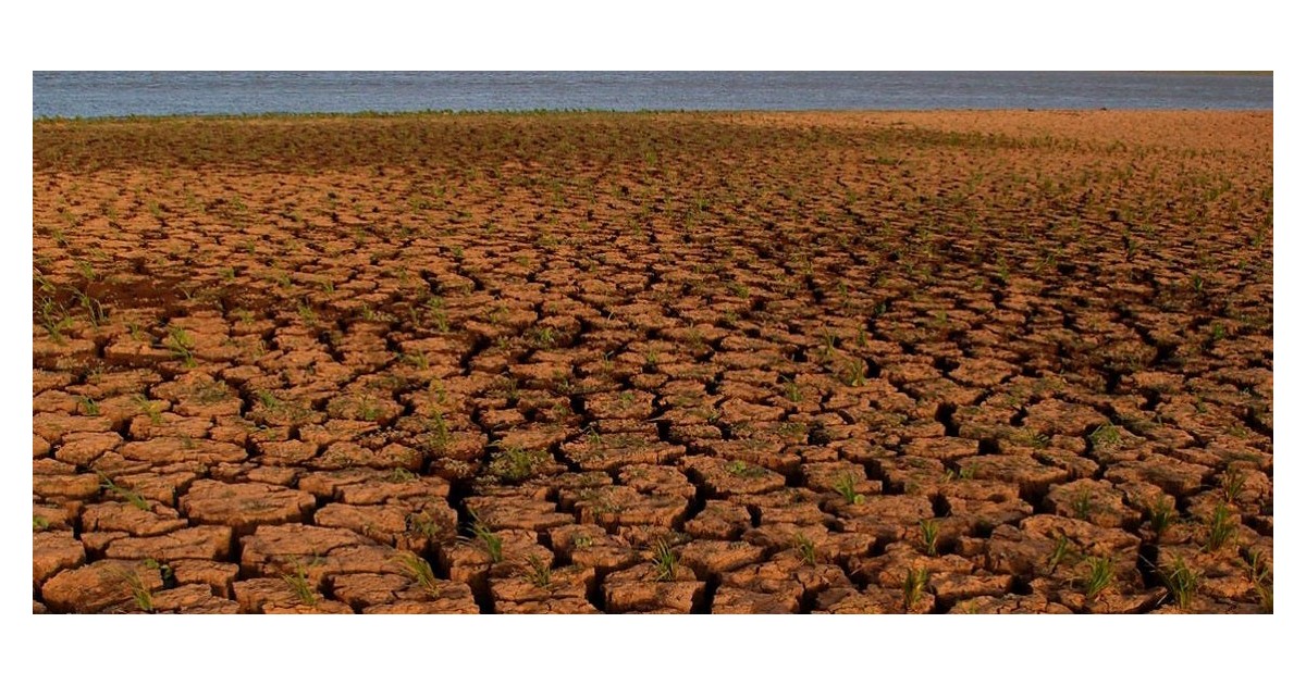 To tackle climate change, take on corruption