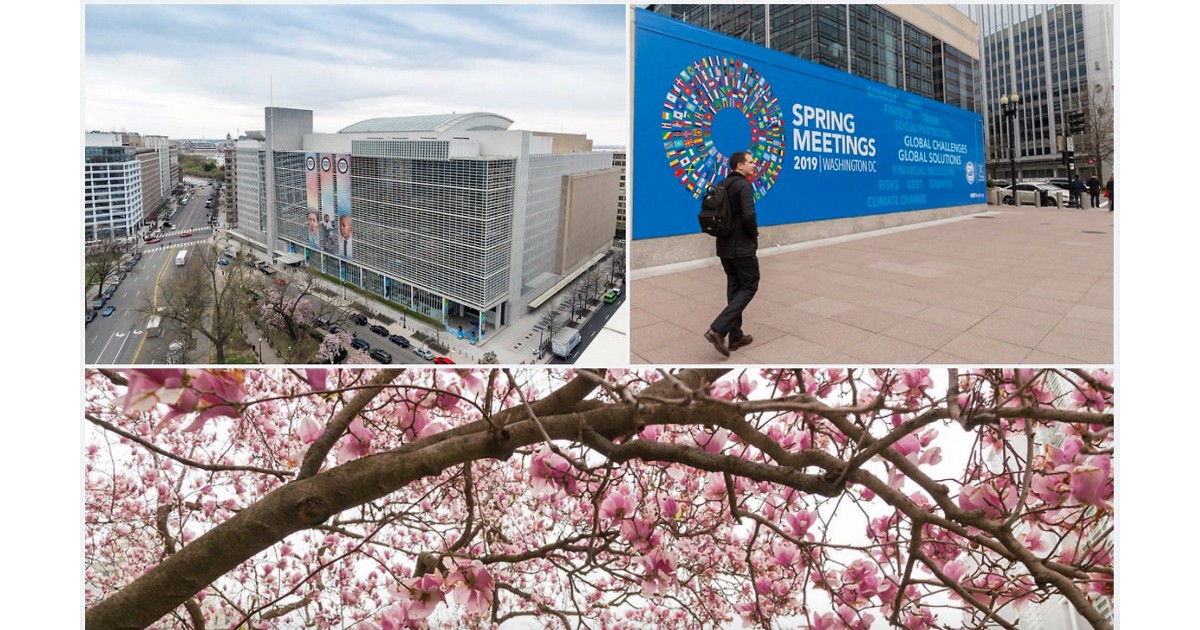 The future of Jobs and Skills: A gloomy or glowing scenario for the ...