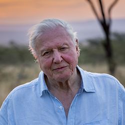 Sir David Attenborough | Banque mondiale Live