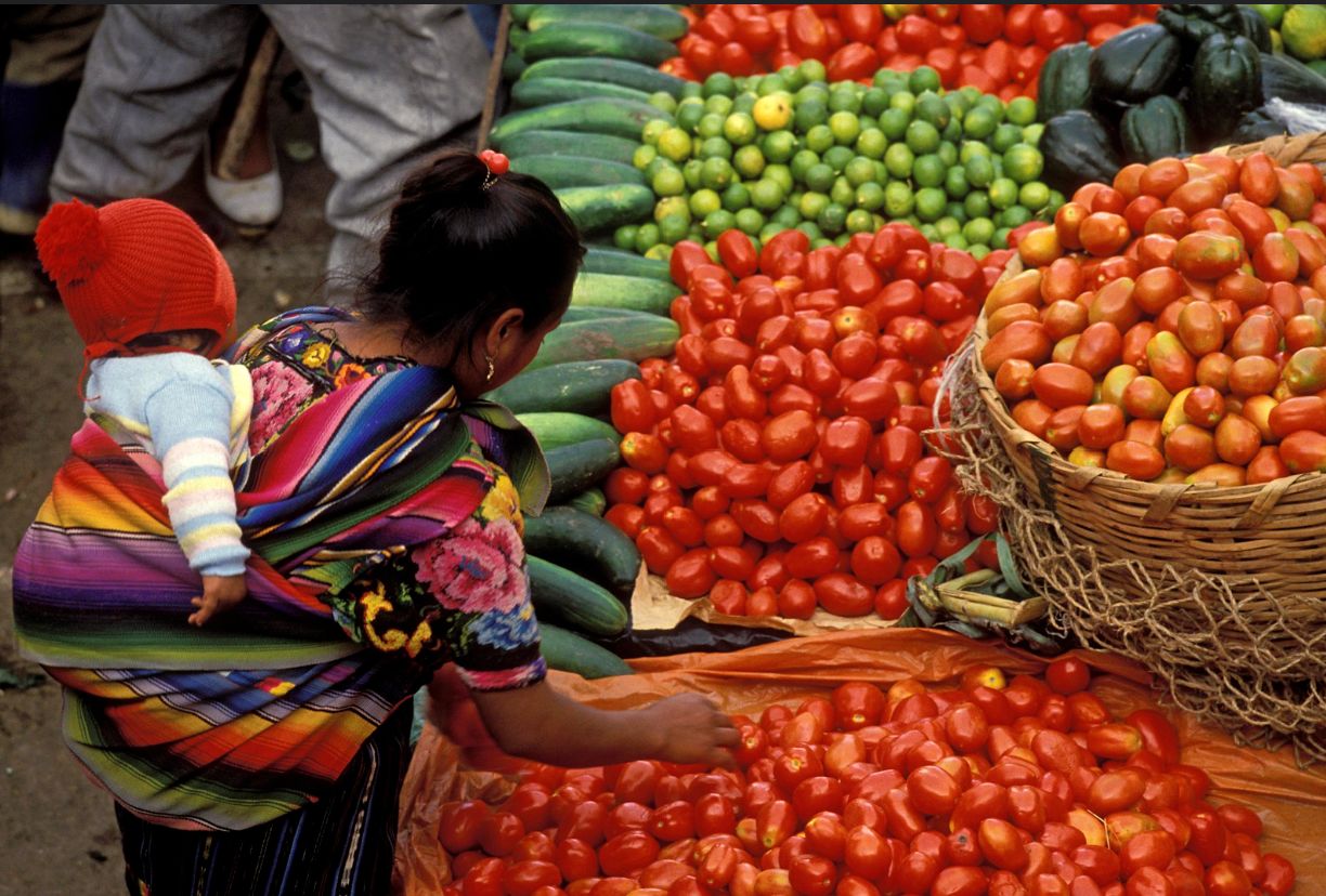 Poverty and Inequality Platform