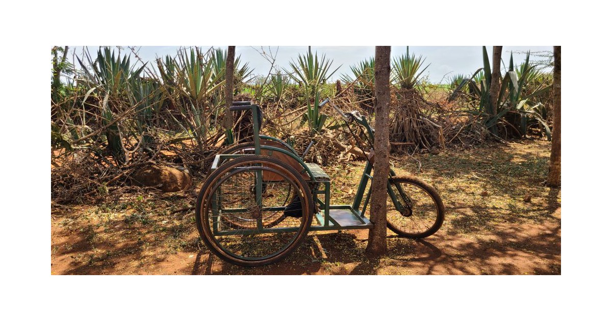 Transformer la douleur en force : trois leçons sur les liens entre ...