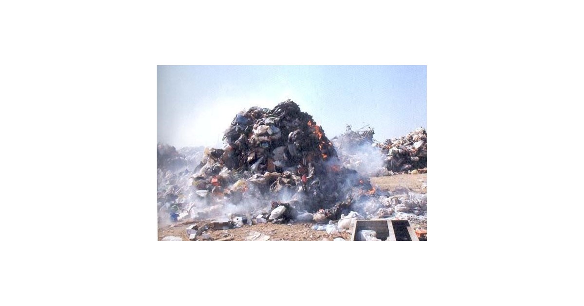 From marginalization to inclusion: The story of the waste pickers in ...